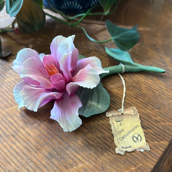 Capodimonte | Art | Vintage Capodimonte Porcelain Parrot Iris Figurine ...